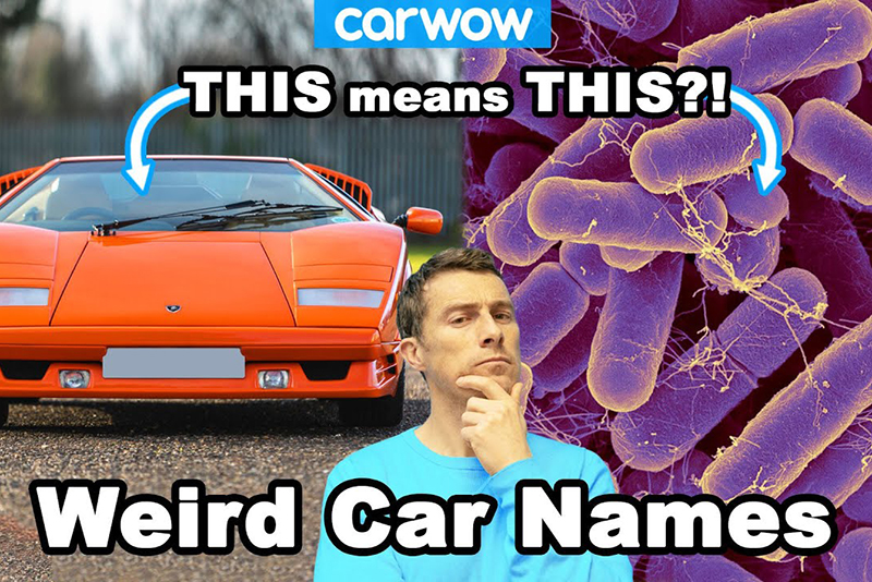 Car Names And What They Mean Car Names And What They Mean